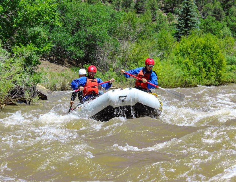 Telluride Afternoon Half Day Rafting Trip - San Miguel River